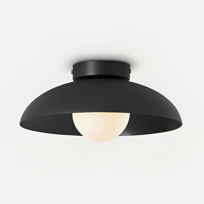 Harper Glass Dome Ceiling Lamp – Vakkerlight