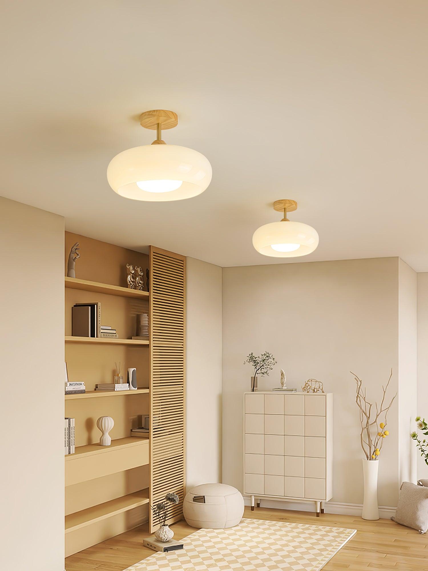 Plafonnier Ceiling Lamp – Vakkerlight