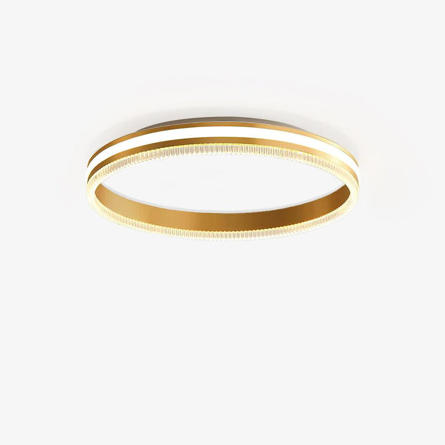 Simple Acrylic Ring Ceiling Light – Vakkerlight